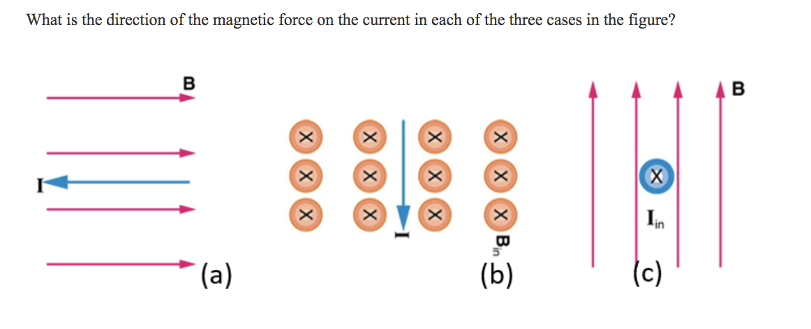 Solved What is the direction of the magnetic force on the | Chegg.com