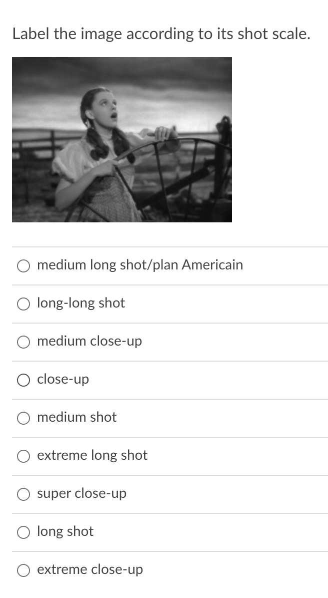 Solved Label the image according to its shot scale. O long | Chegg.com