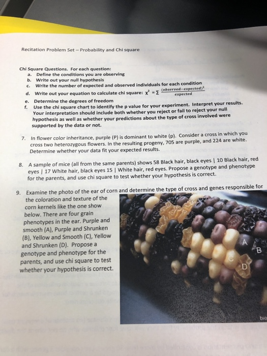 Solved Recitation Problem Set Probability and Chi square Chi | Chegg.com