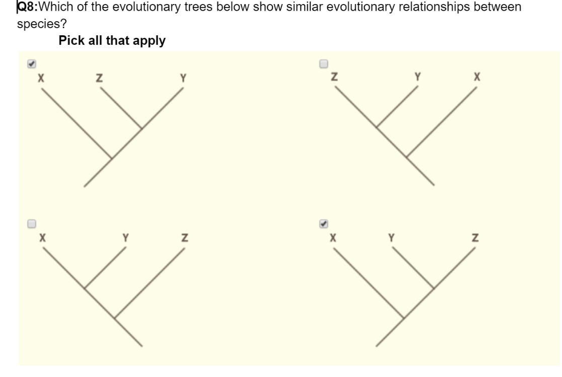 Solved Q8:Which of the evolutionary trees below show similar | Chegg.com