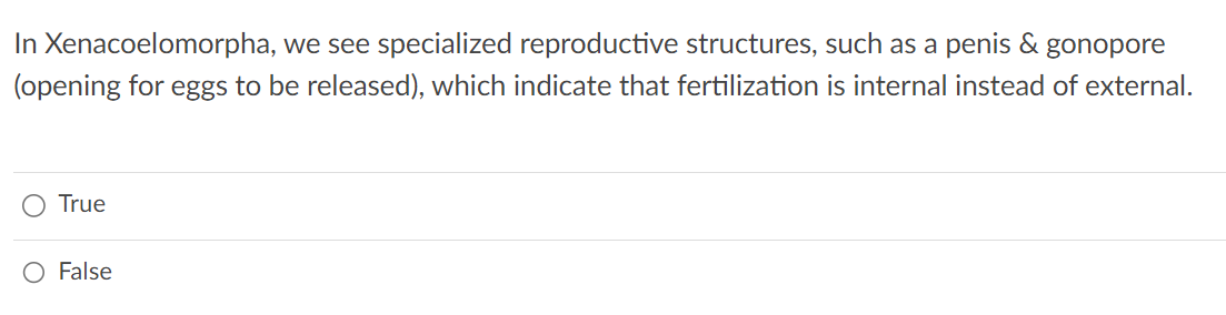 Solved Xenacoelomorpha is the first phylum we've seen that | Chegg.com