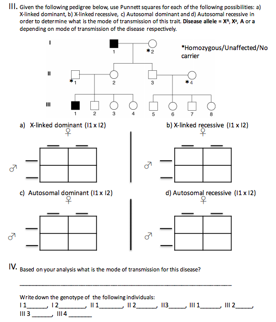 Solved l. In garden pea plants, purpleflowers (P) are | Chegg.com