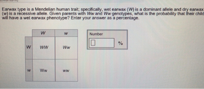 Solved Earwax type is a Mendelian human trait; specifically, | Chegg.com