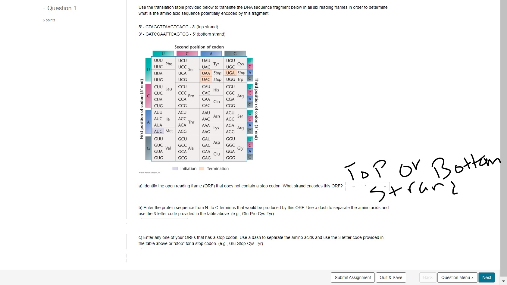 Solved - Question 1 Use the translation table provided below | Chegg.com