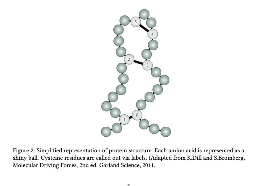 6 Disulfide bond formation A protein, shown | Chegg.com