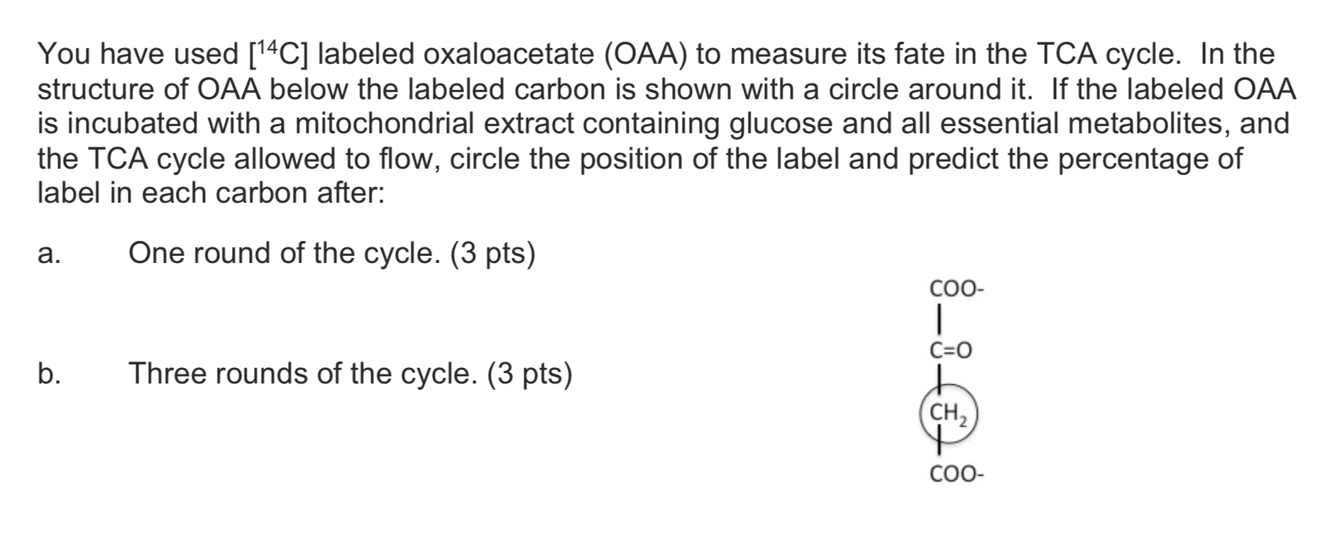 Solved You have used [14C] labeled oxaloacetate (OAA) to | Chegg.com