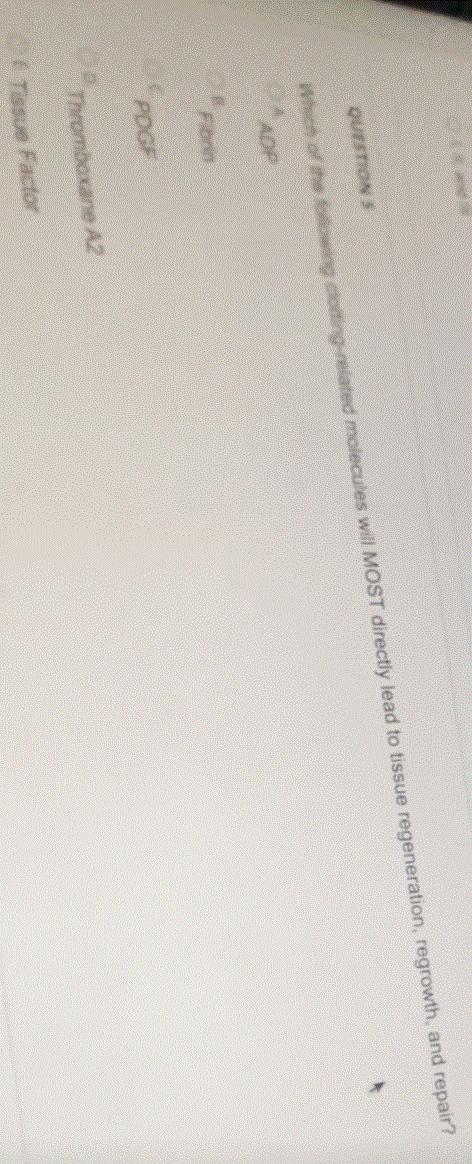 Solved QUESTIONS Who congelated molecules will MOST directly | Chegg.com