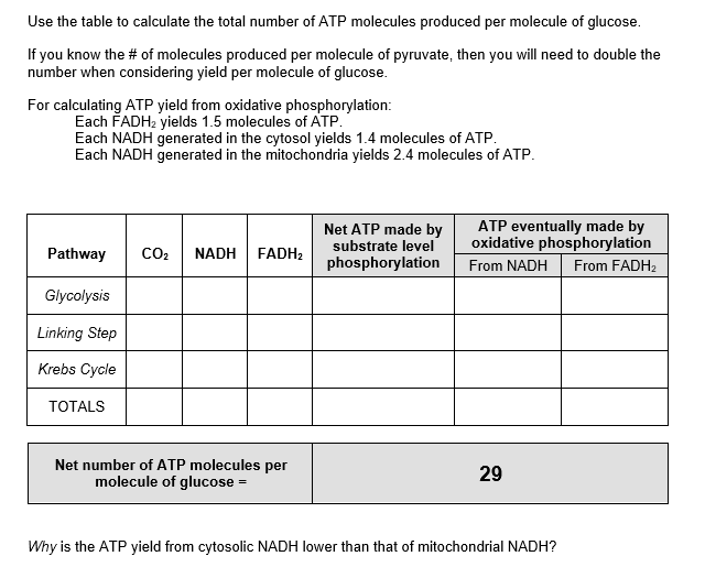 Solved Use the table to calculate the total number of ATP | Chegg.com