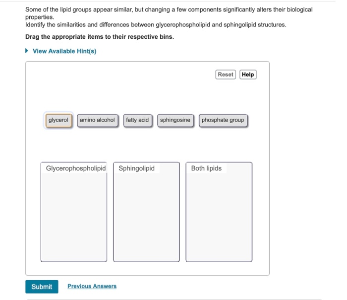 Solved Some of the lipid groups appear similar, but changing | Chegg.com