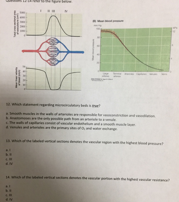 Solved Please answer all of the questions. Please make sure | Chegg.com