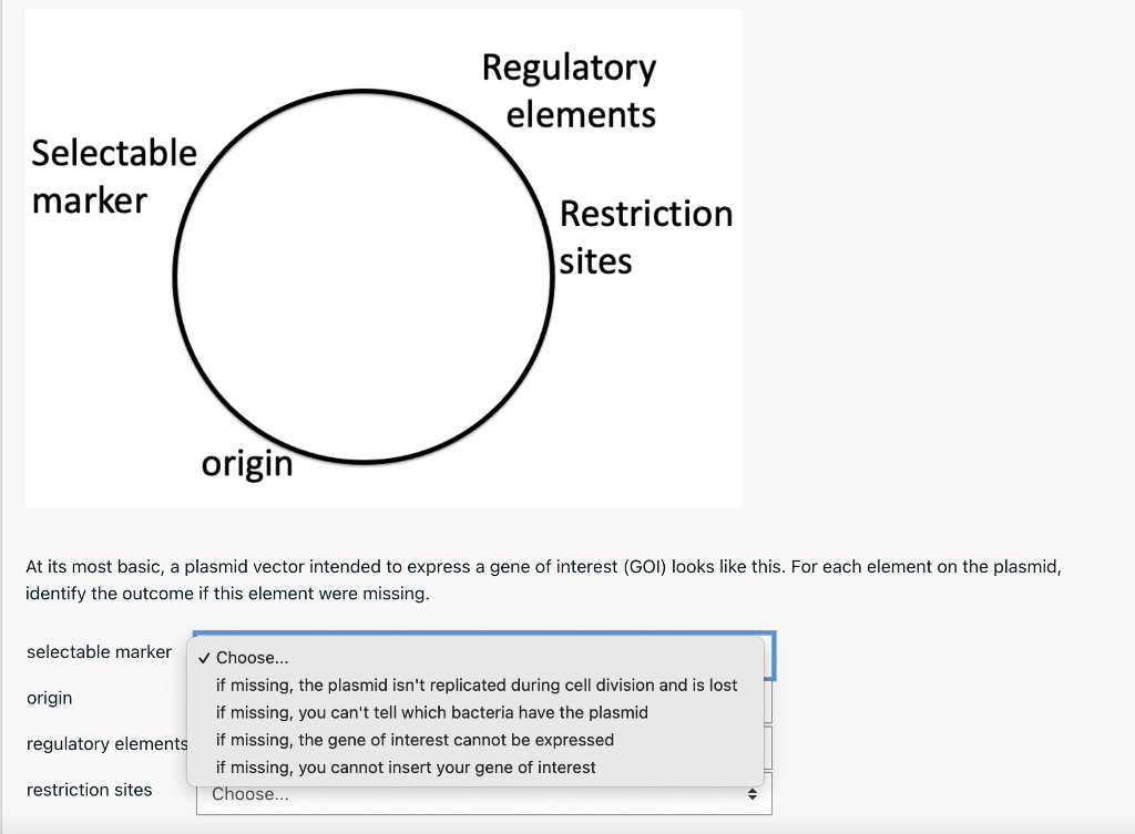Solved At its most basic, a plasmid vector intended to | Chegg.com