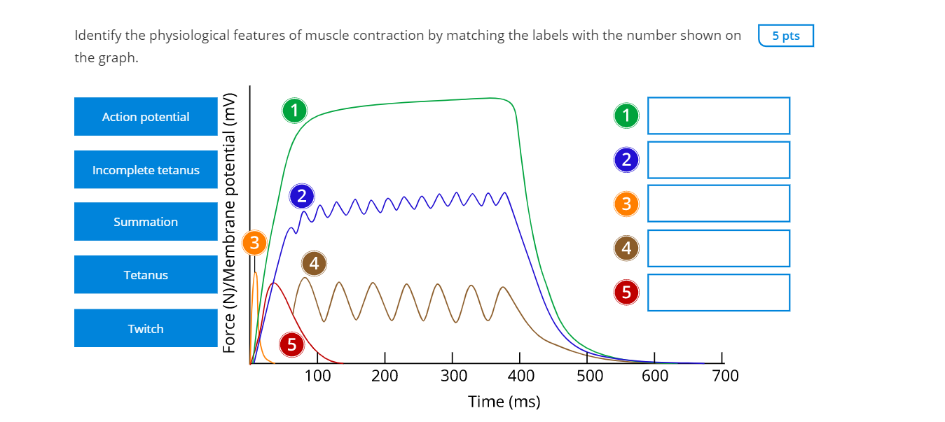 Solved Identify the physiological features of muscle | Chegg.com
