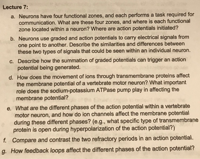 Solved Lecture 7: a. Neurons have four functional zones, and | Chegg.com
