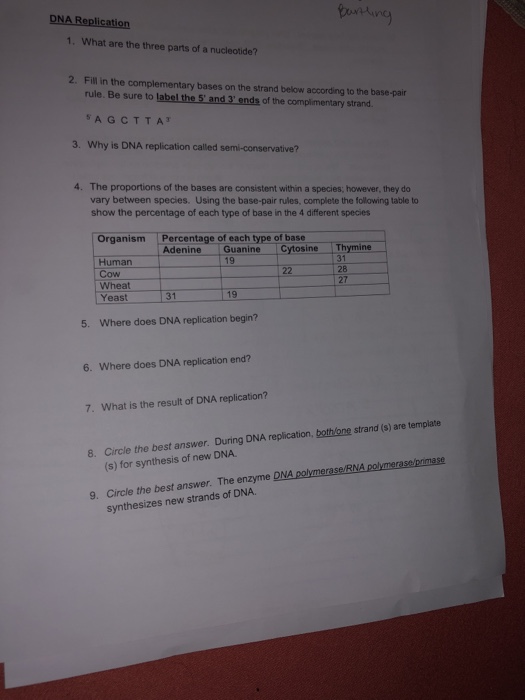 Solved DNA Replication 1. What are the three parts of a | Chegg.com