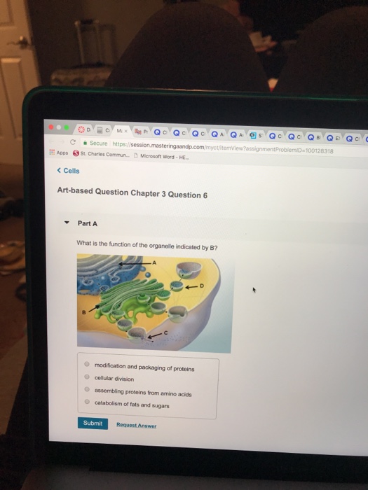 Solved C ntProblemD 100128318 욜 secure https://session.mast | Chegg.com