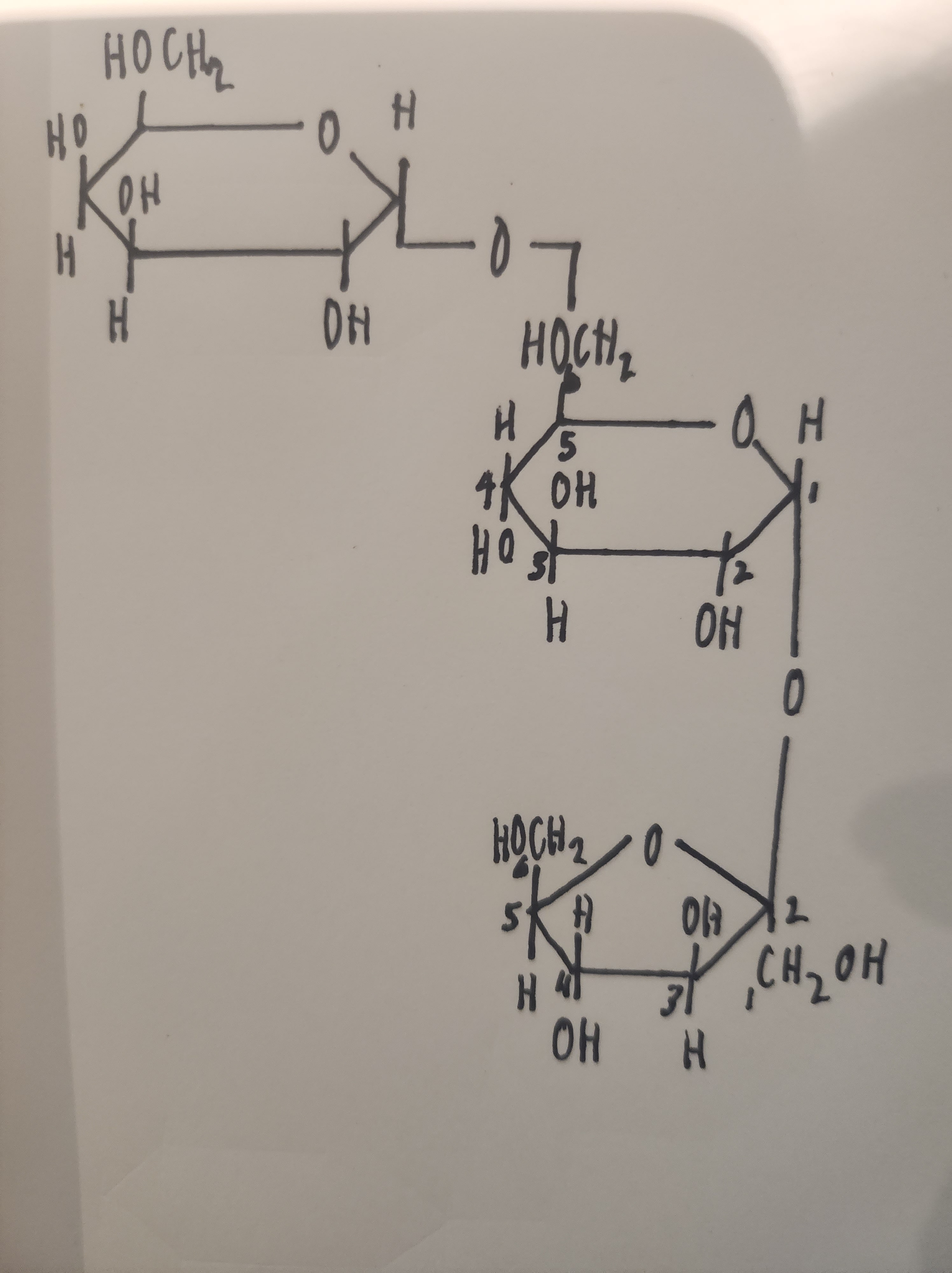 Solved Chemical description (anomer, isomer, and ring form) | Chegg.com