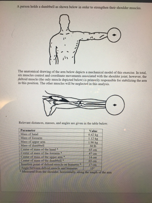 Solved A person holds a dumbbell as shown below in order to | Chegg.com