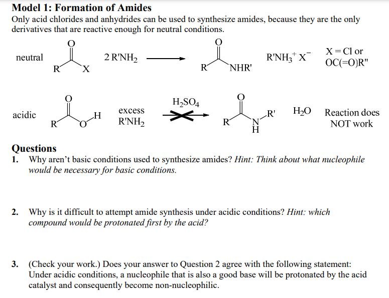 Solved Model 1: Formation of Amides Only acid chlorides and | Chegg.com