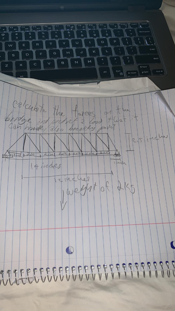 Solved Calculate the forces on the bridge and predict the | Chegg.com