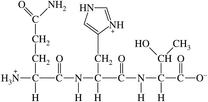 Solved The structure of a certain tripeptide is shown below. | Chegg.com