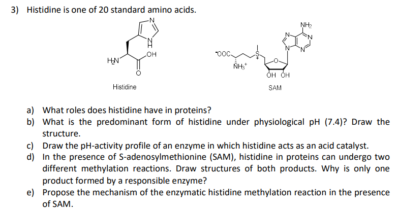 Solved help:Histidine is one of 20 ﻿standard amino acids.a) | Chegg.com