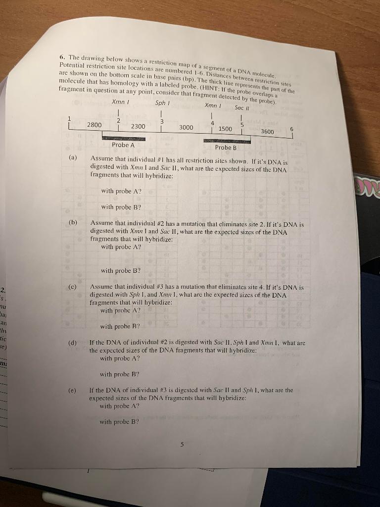 Solved 6. The drawing below shows a restriction map of a | Chegg.com