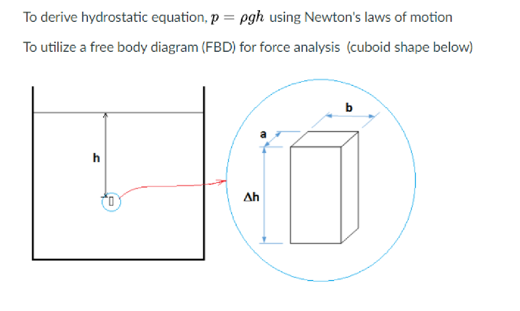 Solved To derive hydrostatic equation, p= pgh using Newton's | Chegg.com