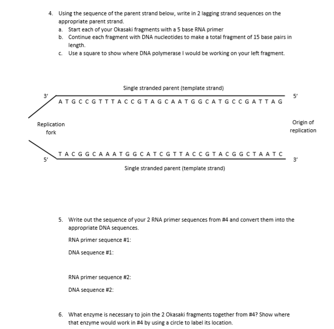 Solved a. 1. For each replication fork diagram below, do the | Chegg.com