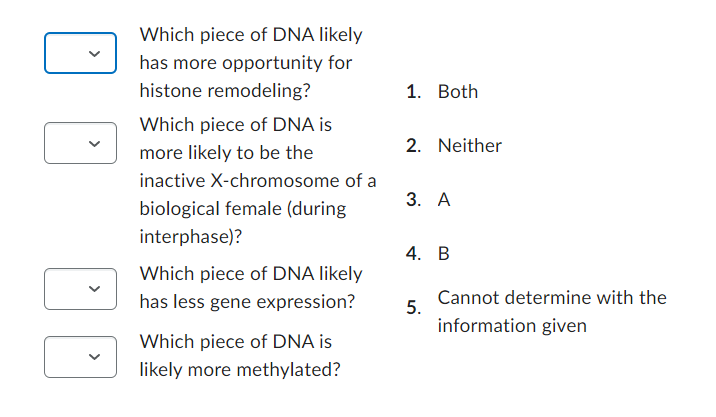 Solved The images refer to the coat color patterns of calico | Chegg.com