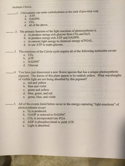 Solved Multiple Choice. . Chloroplasts can make | Chegg.com