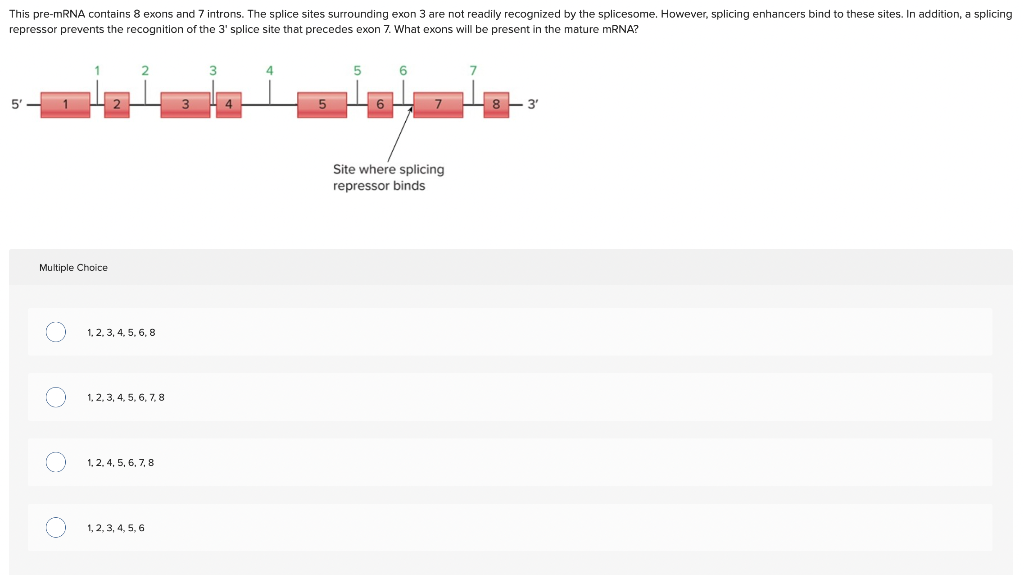 Solved This pre-mRNA contains 8 exons and 7 introns. The | Chegg.com Solved This pre-mRNA contains 8 exons and 7 introns. The | Chegg.com