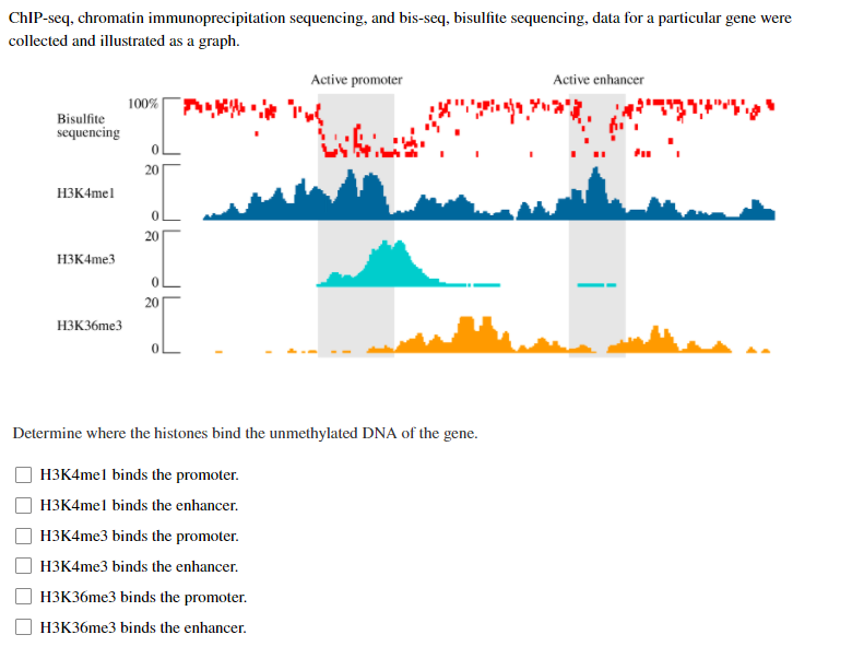 Solved ChIP-seq, chromatin immunoprecipitation sequencing, | Chegg.com