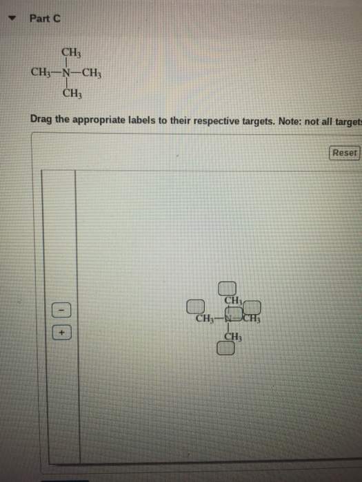 Solved Part C CH3 CH3 N CH3 CH3 Drag the appropriate labels | Chegg.com