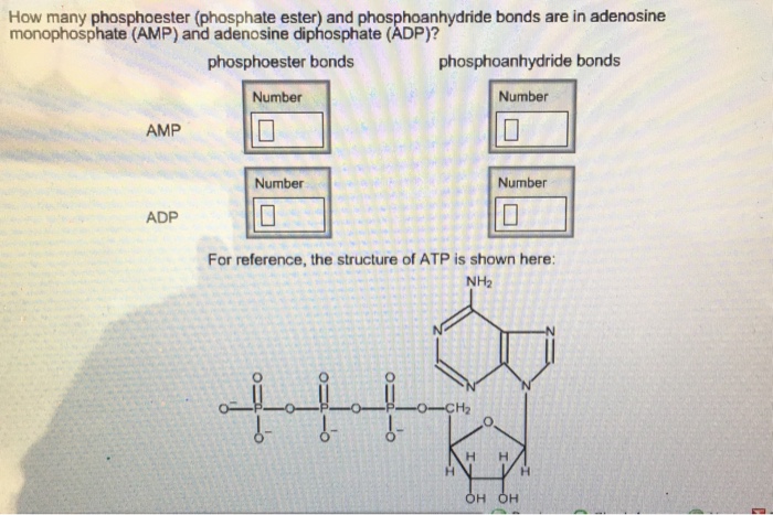 Chemistry Archive | April 11, 2017 | Chegg.com