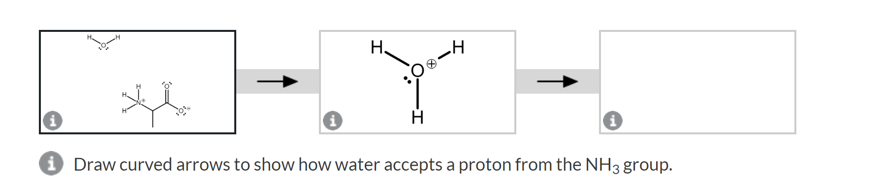 Solved Draw curved arrows to show how water accepts a proton | Chegg.com