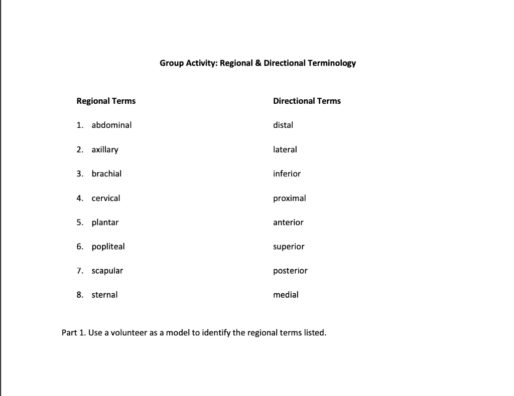 Group Activity: Regional & Directional Terminology | Chegg.com