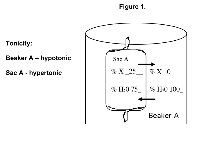 Solved Purpose: The purpose of this lab is to demonstrate | Chegg.com