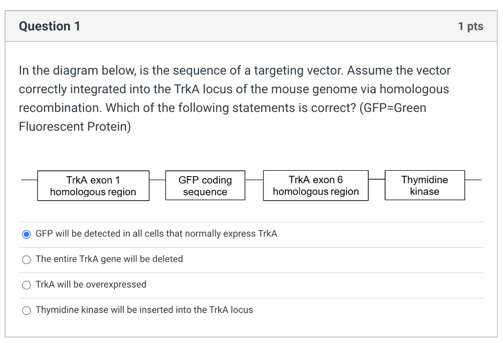 Solved In the diagram below, is the sequence of a targeting | Chegg.com