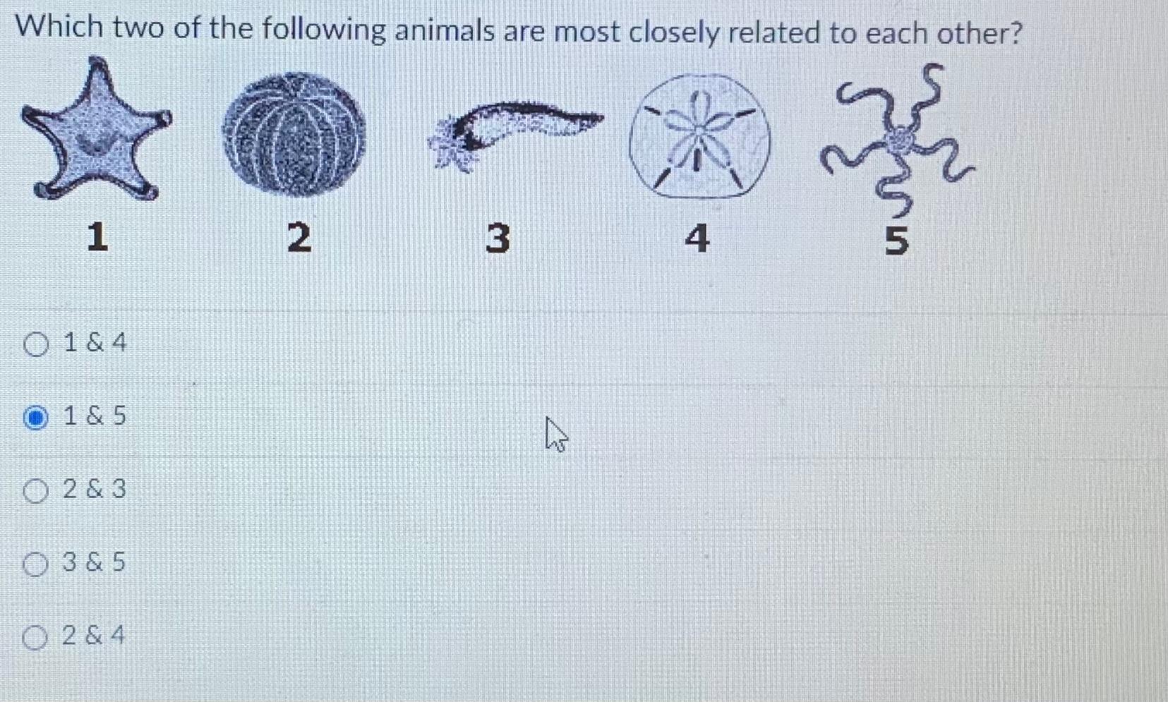 Solved Which two of the following animals are most closely | Chegg.com