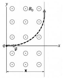 Solved An electron enters a region with a magnetic field at | Chegg.com