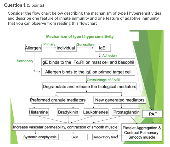 Solved Question 1 (5 points) Consider the flow chart below | Chegg.com