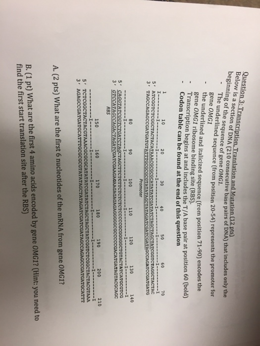 Solved Below is a section of DNA (210 consecutive base pairs | Chegg.com