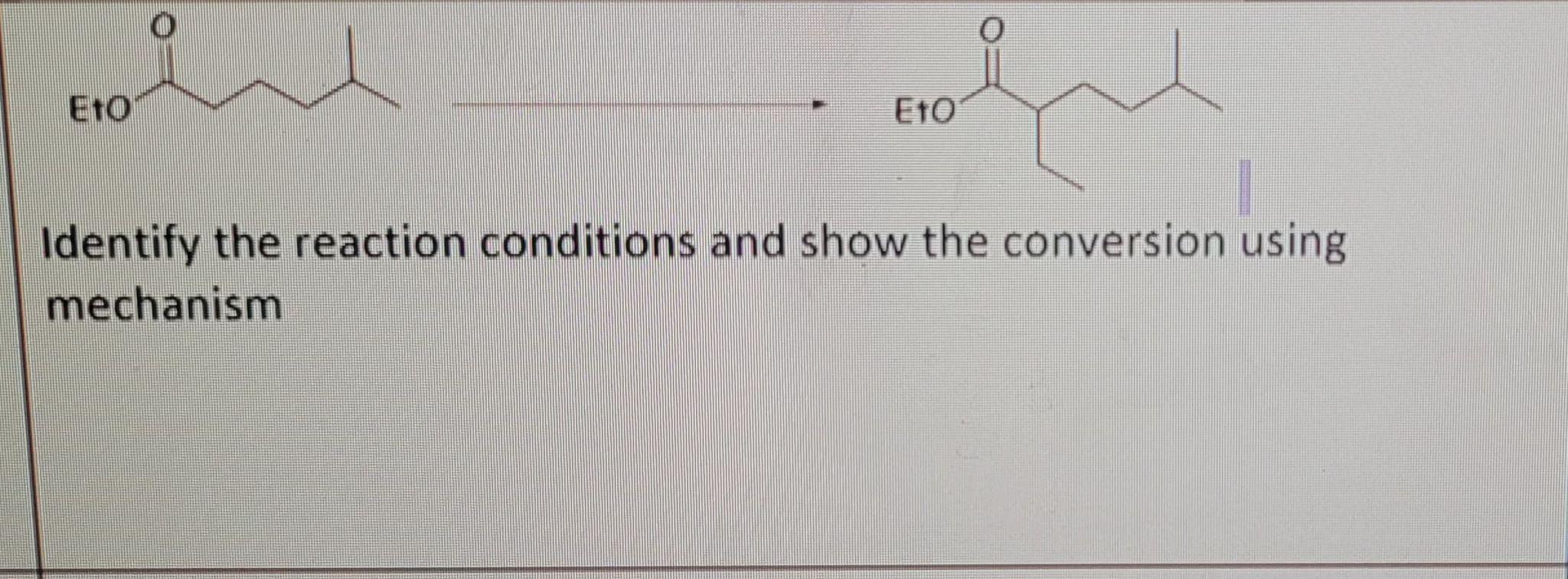 Solved Please complete and explain the assigned conversions | Chegg.com