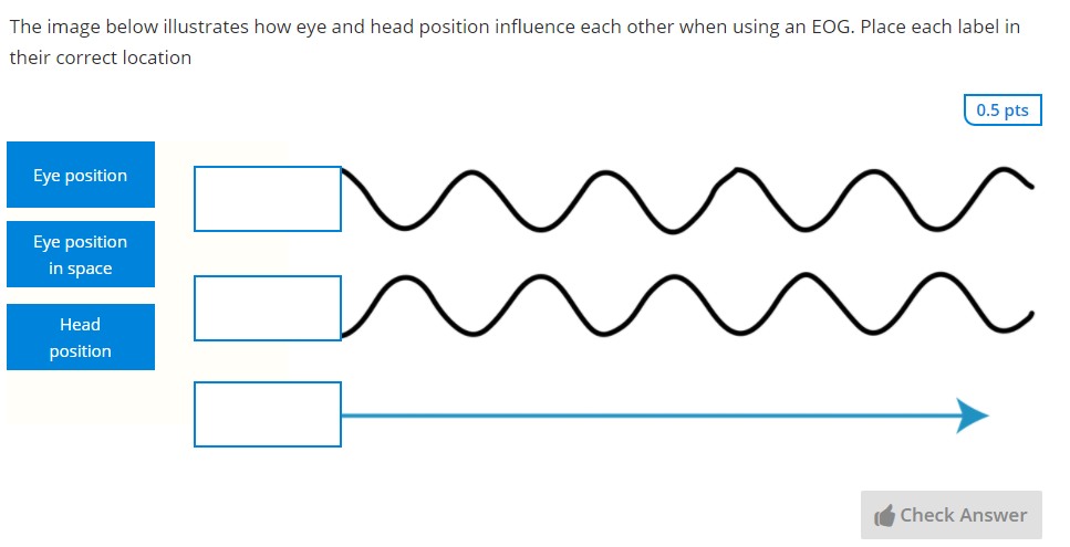 Solved The image below illustrates how eye and head position | Chegg.com