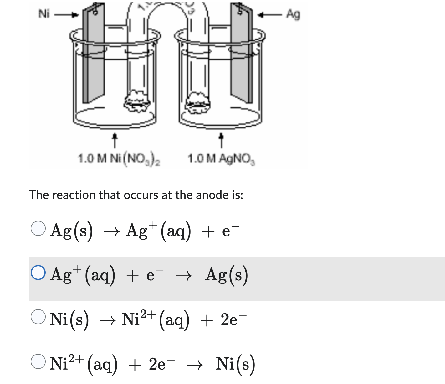 Solved In the cell described above, where does reduction | Chegg.com