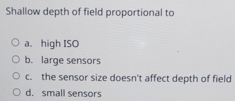 Solved Shallow depth of field proportional toa. ﻿high ISOb. | Chegg.com