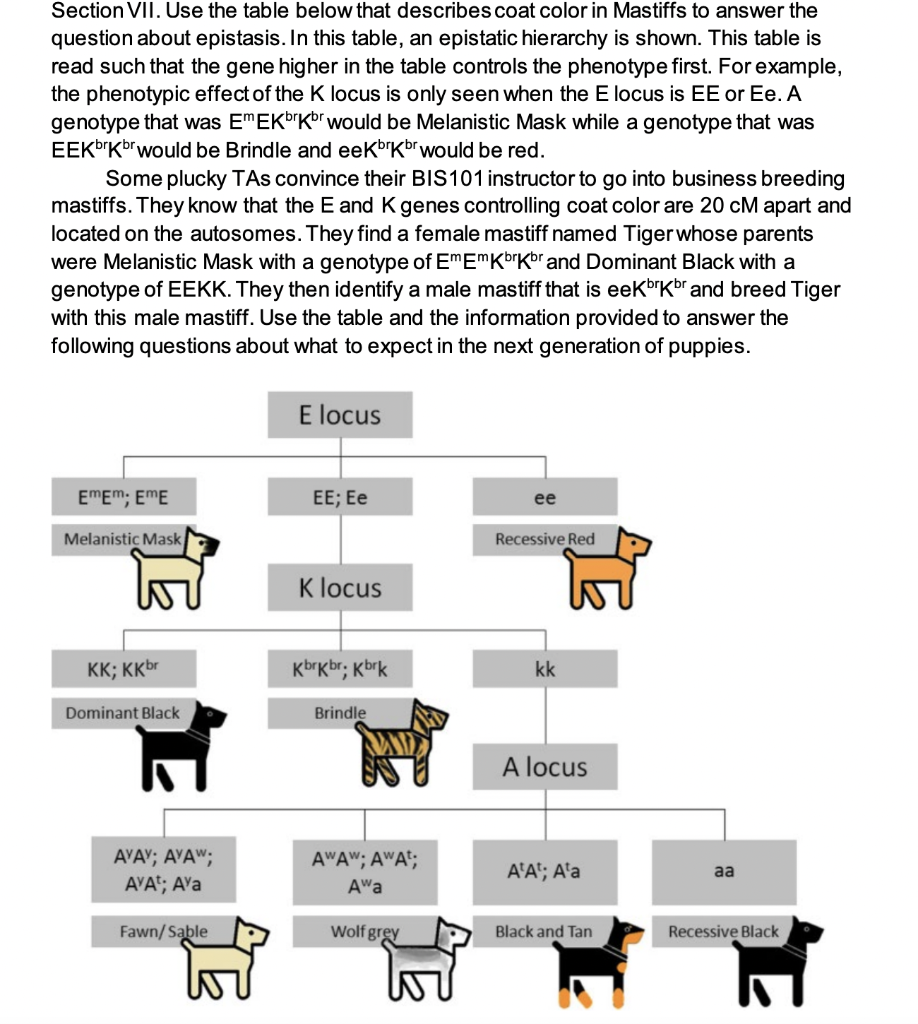 Solved Section VII. Use the table below that describes coat | Chegg.com