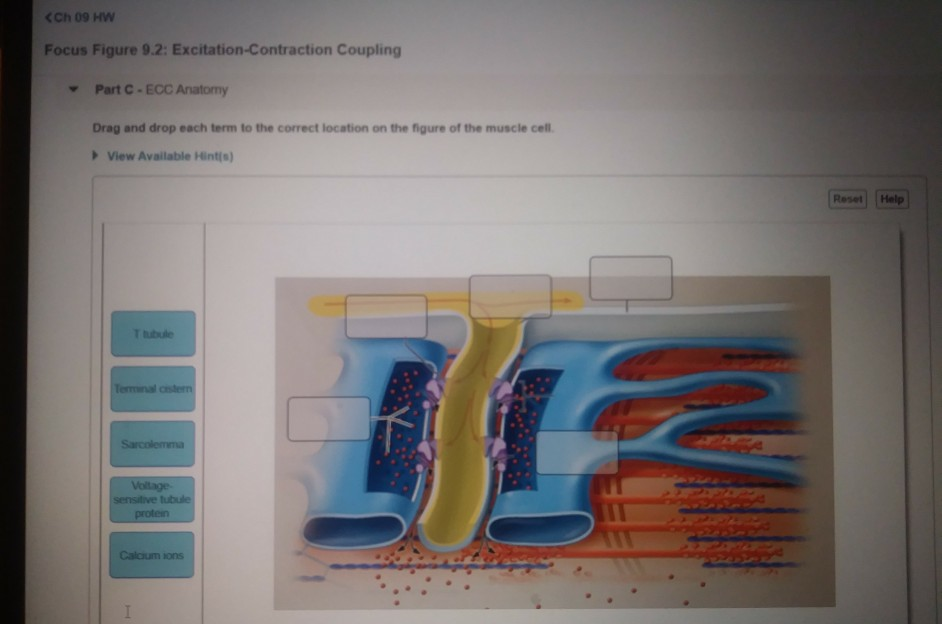Solved Question | Chegg.com