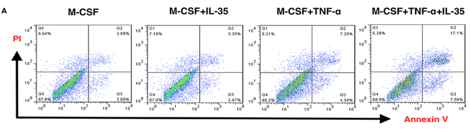 Solved Flow Cytometry Analysis. Figure 1. (A) Analysis | Chegg.com
