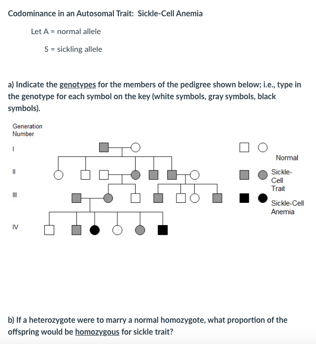Solved Codominance in an Autosomal Trait: Sickle-Cell Anemia | Chegg.com